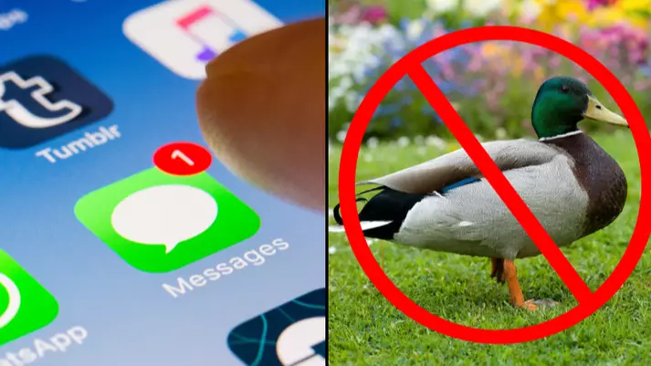 Apple เผย iPhone จะเลิก Autocorrect คำว่า "f**k" เป็น "duck" แล้ว